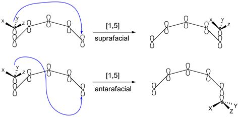 Filesuprafacial Antarafacial 15 Png Handwiki