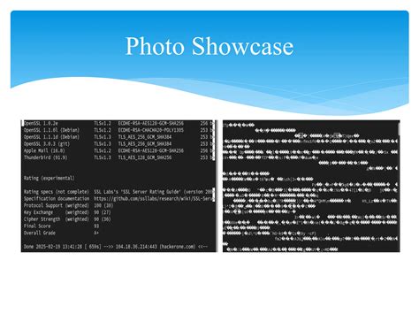 Cyber Reconnaissance Tool Presentation Pptx