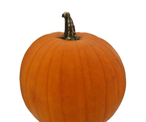 Gresskar Orange 1kg Go Marked