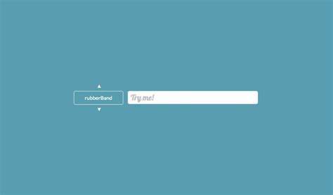 animate css fancy animated input field