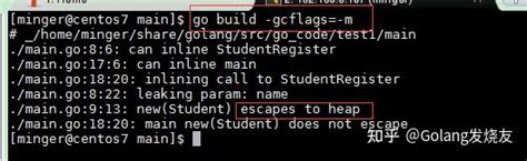 Golang 内存分配之逃逸分析 知乎
