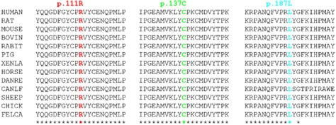 Clustal O 124 Multiple Sequence Alignment The Residues Marked In