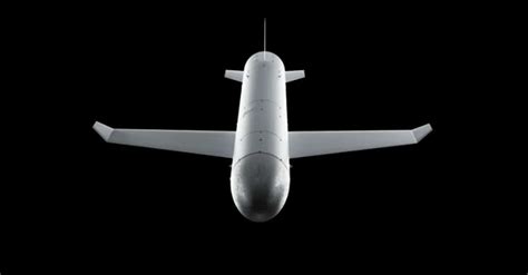 Ukraine Starts Mass Production Of Palianytsia Missile Drone For Long