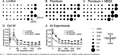 Figure 3 From Gabaergic And Glutamatergic Modulation Of Spontaneous And