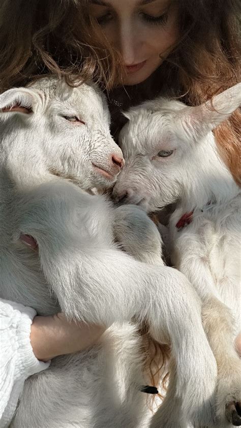 Alexandra Iakushina • Content Creator L A V • Instagram Photos And