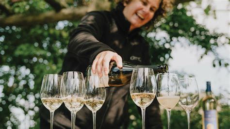 Wine Server Discover Tourism