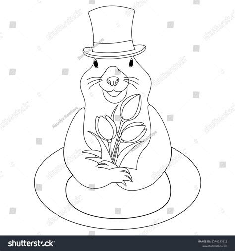 Contour Image Groundhog Hat Flowers Bouquet Stock Vector Royalty Free