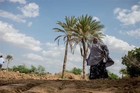 Somalia Reducing Flood Risks In Beletweyne District