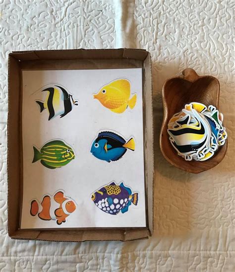 Australia The Pumpkin Patch Montessori Preschool