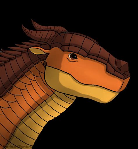 Clay Wings Of Fire Colors