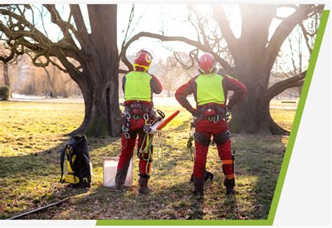 About Us SEQ Tree Lopping