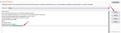 ctf web21（爆破） 抓包authorization csdn博客