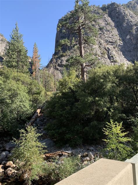 Overpass Bridge Rail River Rock Tree Mediabook