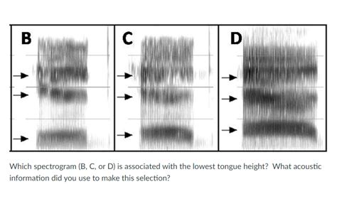 Solved Which Spectrogram B C Or D Is Associated With Chegg Com