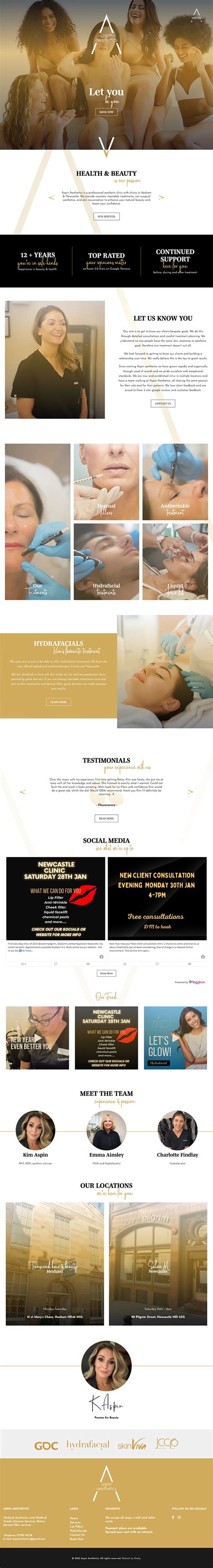 Aspin Aesthetics Sleeky Web Design