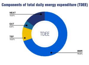 Total Daily Energy Expenditure Tdee Calculator
