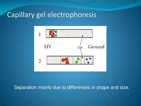 Ppt Capillary Electrophoresis Powerpoint Presentation Free Download