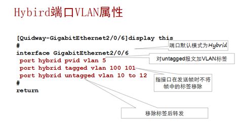 huawei vlan configuration programmer sought
