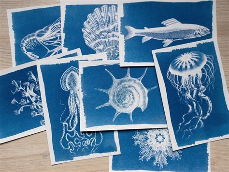 Cyanotype Stencils Diy Craft Cyanotype Kit Just Stencils Cyanotype