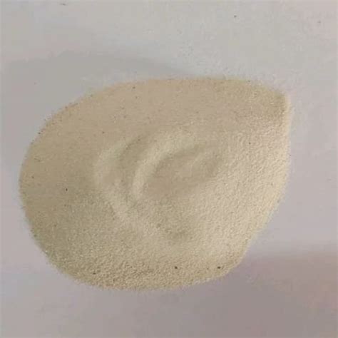 Chitin Chemical Powder At ₹ 1100 Kg Chemical Powder In Kolkata Id