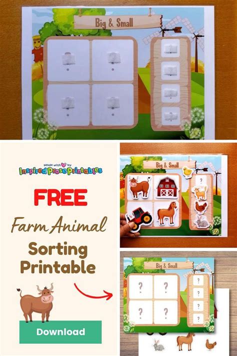 Free Sorting Activity Printable Artofit