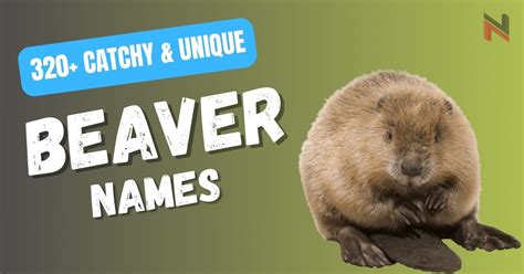 Beaver Names Male