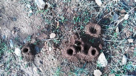 Spring Security Without The Websecurityconfigureradapter By Antonio Pérez Caballero Medium