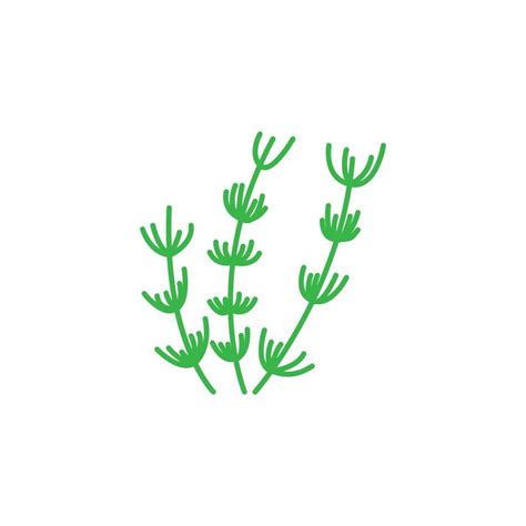 Herb Vector Icon 22577537 Vector Art At Vecteezy