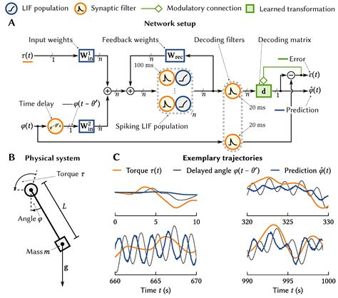 Biologically Based Computation How Neural Details And Dynamics Are Suited For Implementing A