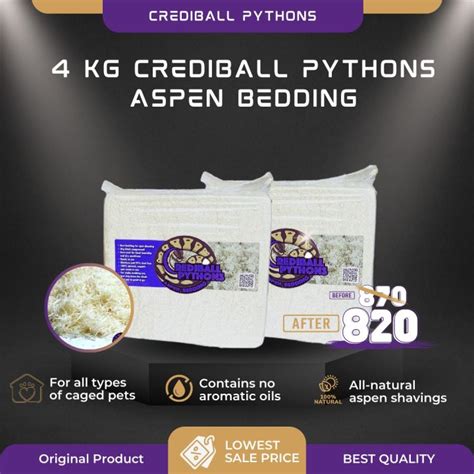 4kg Aspen By Crediball Pythons Reptile Farm Lazada Ph