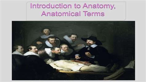 Anatomical Terms An11pptx