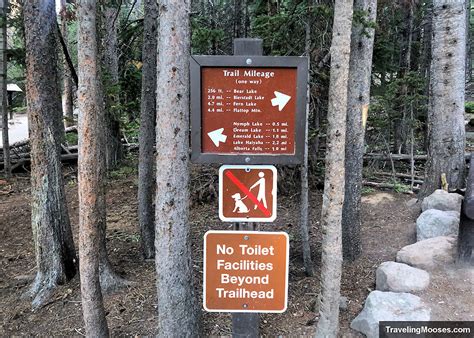 Bear Lake Trailhead Rmnp