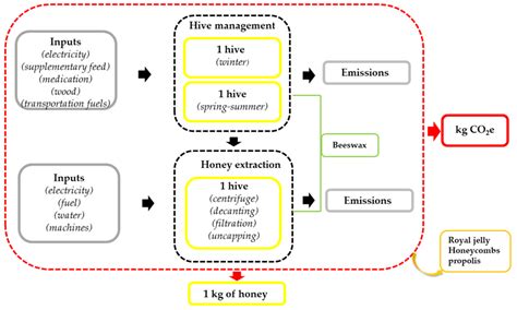 Flowchart Of The Boundary And Main Activity For The Lca Beekeeping Chain Download Scientific
