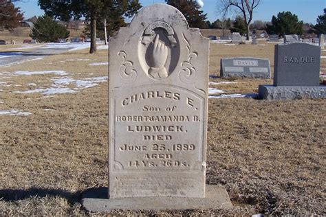 Charles E “charley” Ludwick 1875 1889 Mémorial Find A Grave