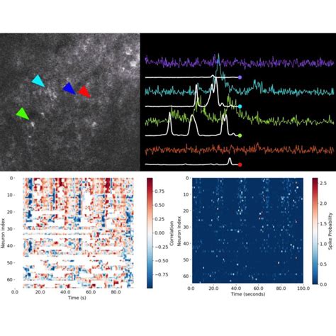 How To Install And Run Python Code From Github Fabrizio Musacchio