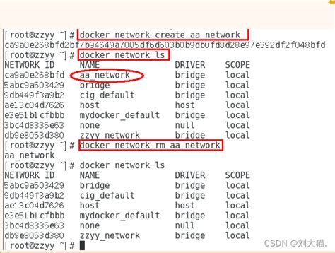 《docker高级篇（大厂进阶）：4 Docker网络》包括：是什么、常用基本命令、能干嘛、网络模式、docker平台架构图解 阿里云开发者社区