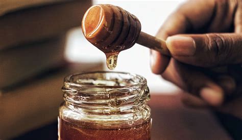 Hawaiian Rainbow Bees Ward Village