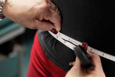 10 Fascinating Artificial Selection Examples The Lifesciences Magazine