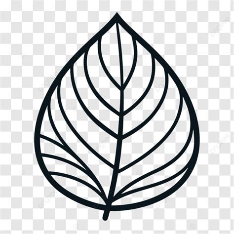 Leaf Design Line Art