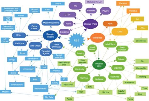 Robin And Robin Collaborate On Radiation Therapy Jeffrey Buchsbaum