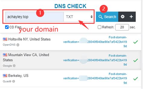 How To Verify Domains Advanced
