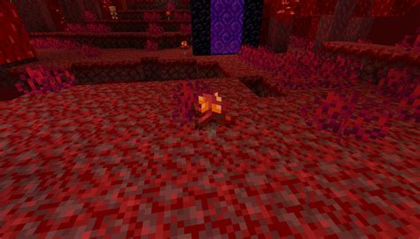 Crimson Fungus Minecraft Guide Ign