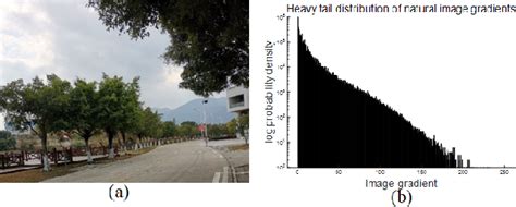 figure 1 from a robust blind deblurring method for natural blurry