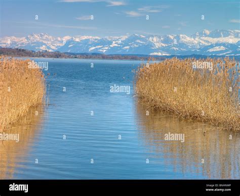 Greifensee Kanton Der Schweiz Der Zürcher Landschaft Landschaft Natur