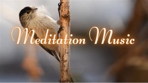 10 Min Meditation Music Relax Mind Body L Relaxing Yoga Music L Peace