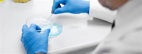 Monitoramento de Temperatura Preservação de Pesquisas Científicas