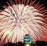 110 Fireworks Ideas Fireworks Fire Works Fireworks Display