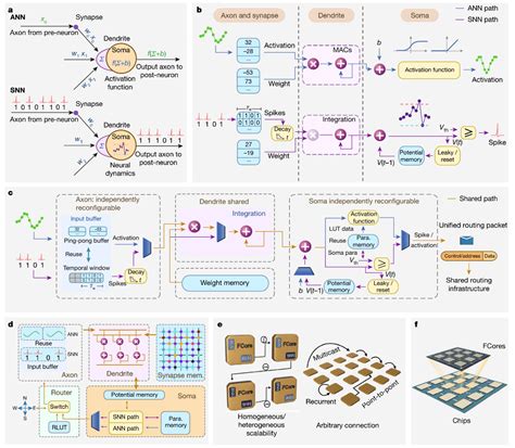 Nature Cover Story Chinese Teams ‘tianjic Chip Bridges Machine