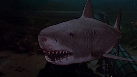 Jaws 3 D 1983 Dennis Quaid Bess Armstrong Lea Thompson Louis Gossett