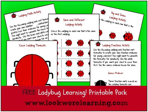 The Grouchy Ladybug Worksheets